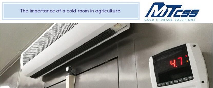 The Importance of Cold Rooms in Agriculture - MTCSS
