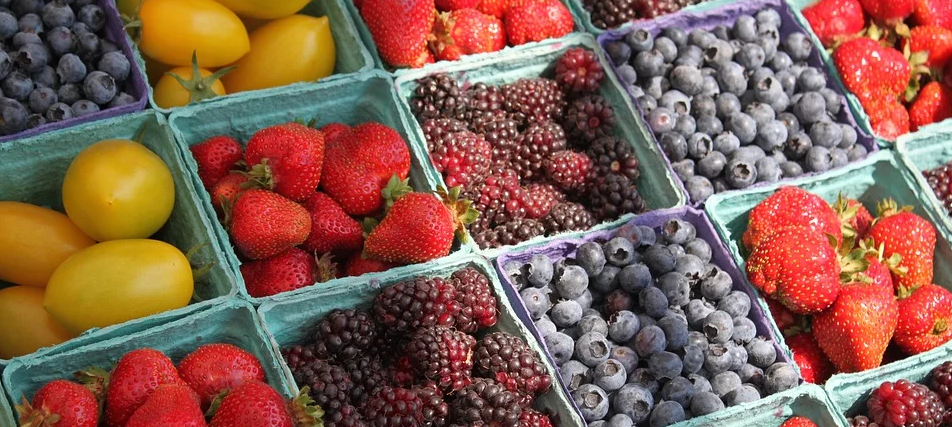 Cold Rooms To Maintain Farming Produce - What To Look For