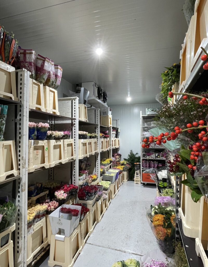 Bespoke Chiller Cold Room for Flower Storage - MTCSS