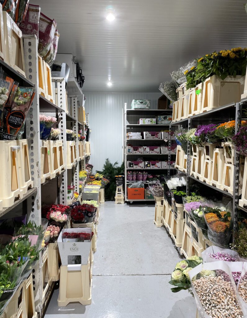 Bespoke Chiller Cold Room for Flower Storage - MTCSS