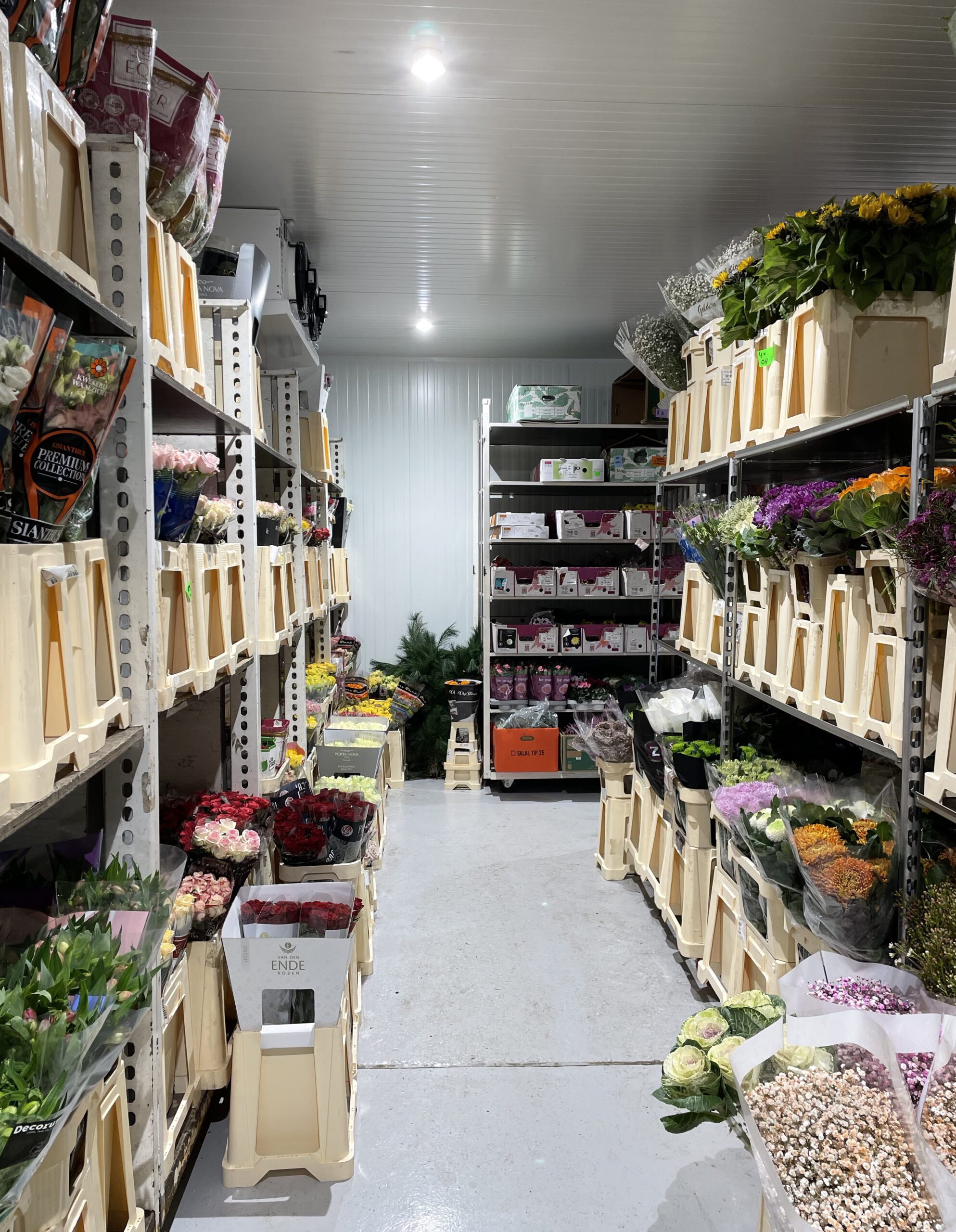 Bespoke Chiller Cold Room for Flower Storage - MTCSS