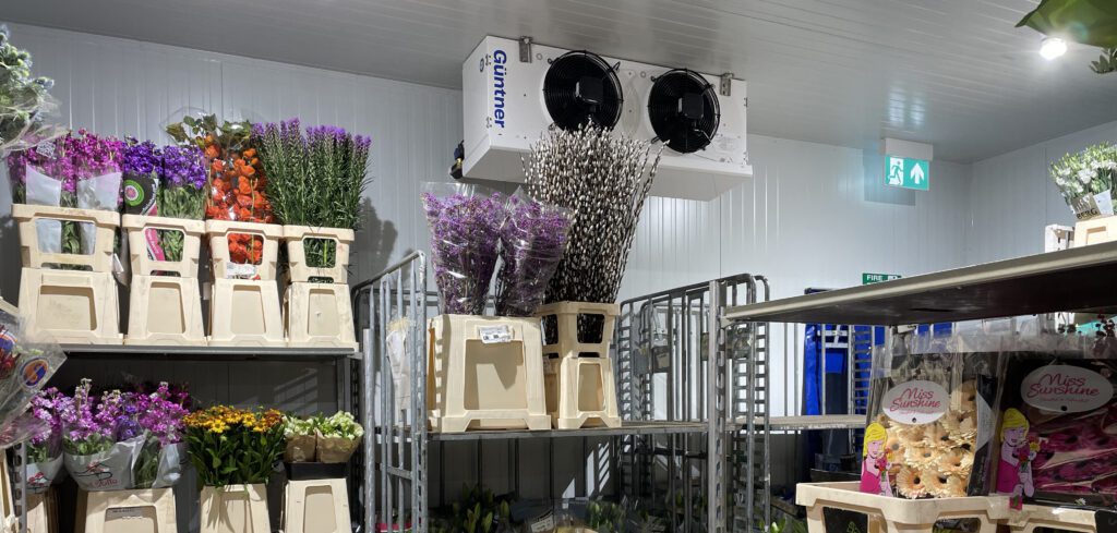 Bespoke Chiller Cold Room for Flower Storage - MTCSS