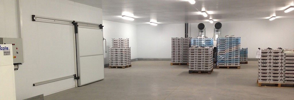 What Are the Temperatures of Cold Rooms? | MTCSS